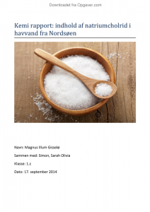 Kemi rapport - Salt - Fysik/Kemi - Opgaver.com