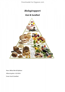 Kost og Sunhed - Dansk - Opgaver.com