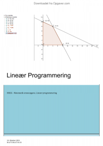 Lineær Programmering emneopgave - Matematik - Opgaver.com