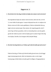 Opgave 1. Das erste selbst-verdiente Geld - Tysk - Opgaver.com