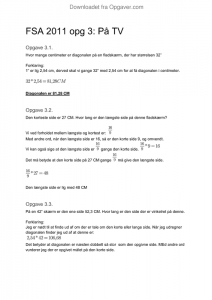 FSA 2013 opgave 3 På TV - Matematik - Opgaver.com
