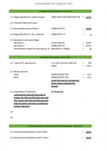 FP10 matematik - Dansk - Opgaver.com