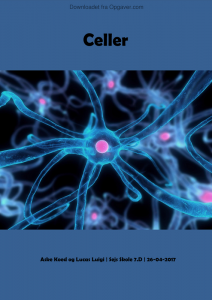 Celler - Biologi - Opgaver.com