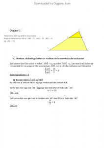 Aflevering 4 - trigonometri - Matematik - Opgaver.com