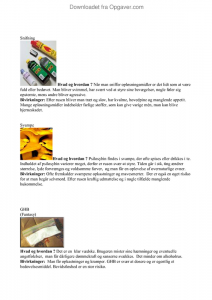 Misbrug - Dansk - Opgaver.com