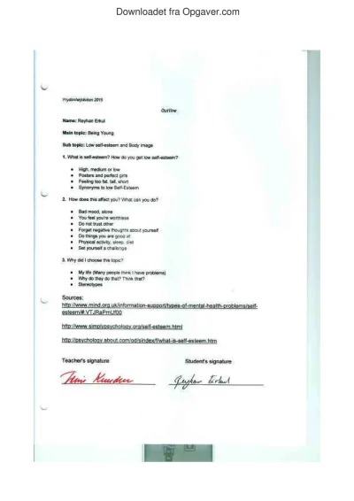Engelsk outline - Engelsk - Opgaver.com