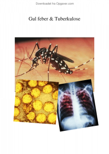 gul feber og tuberkulose - Biologi - Opgaver.com