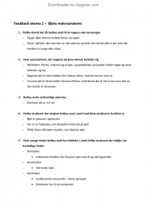 Human Videnskab (Feedbackskema) - Biologi - Opgaver.com