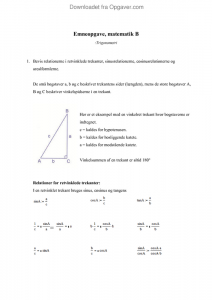 Emneopgave trigonometri - Matematik - Opgaver.com