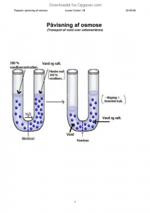 Påvisning af osmose - Biologi - Opgaver.com