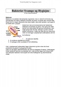 Bakterier og svampe - Biologi - Opgaver.com