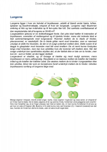 lungerne - Biologi - Opgaver.com