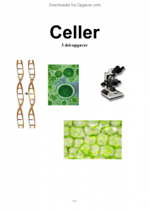 celler - Biologi - Opgaver.com