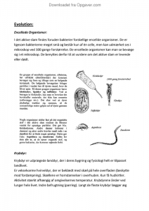 Evolution - Biologi - Opgaver.com