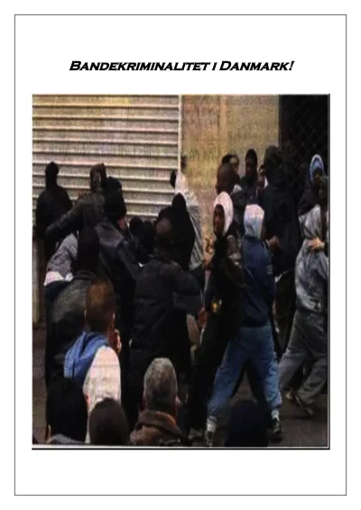 Bande kriminalitet i danmark - Samfundsfag - Opgaver.com