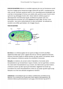 en opgave om bakterier og virus - Biologi - Opgaver.com