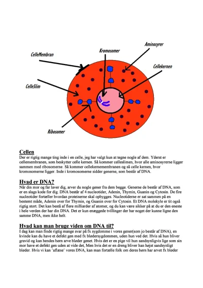 Gener og Arv - Biologi - Opgaver.com