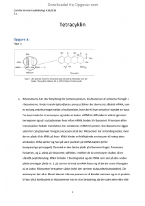 Tetracyklin - Biologi - Opgaver.com