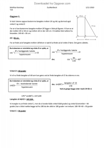 Emneopgave indenfor Trigonometri - Matematik - Opgaver.com