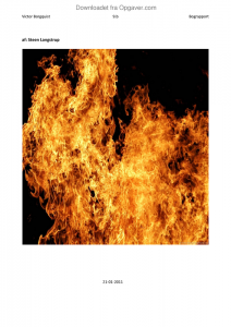 ROMAN ANALYSE - Pyromani - Dansk - Opgaver.com