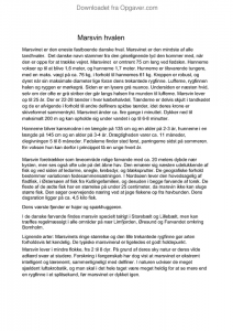 marsvin hvalen - Biologi - Opgaver.com