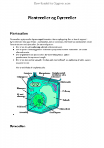 Planteceller og dyreceller - Biologi - Opgaver.com