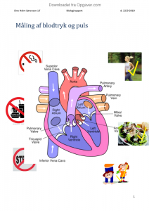 puls og blodtryk - Biologi - Opgaver.com